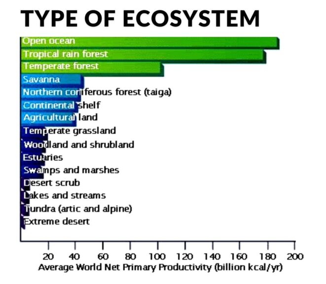 primary productivity in an ecosystem is expressed as