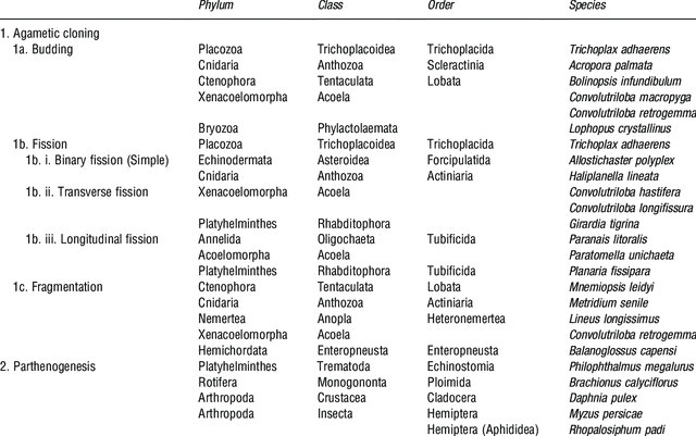 reproduction synonym