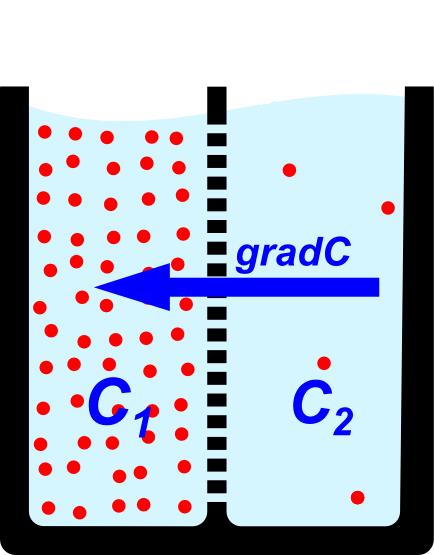 concentration science examples