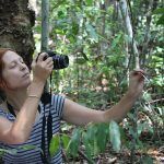 Interbreed Definition and Examples - Biology Online Dictionary