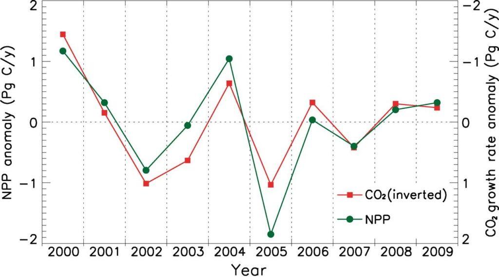 Primary Productivity Definition