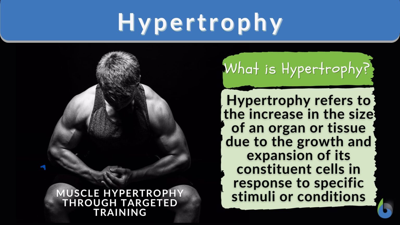 Hypertrophy - Definition and Examples - Biology Online Dictionary