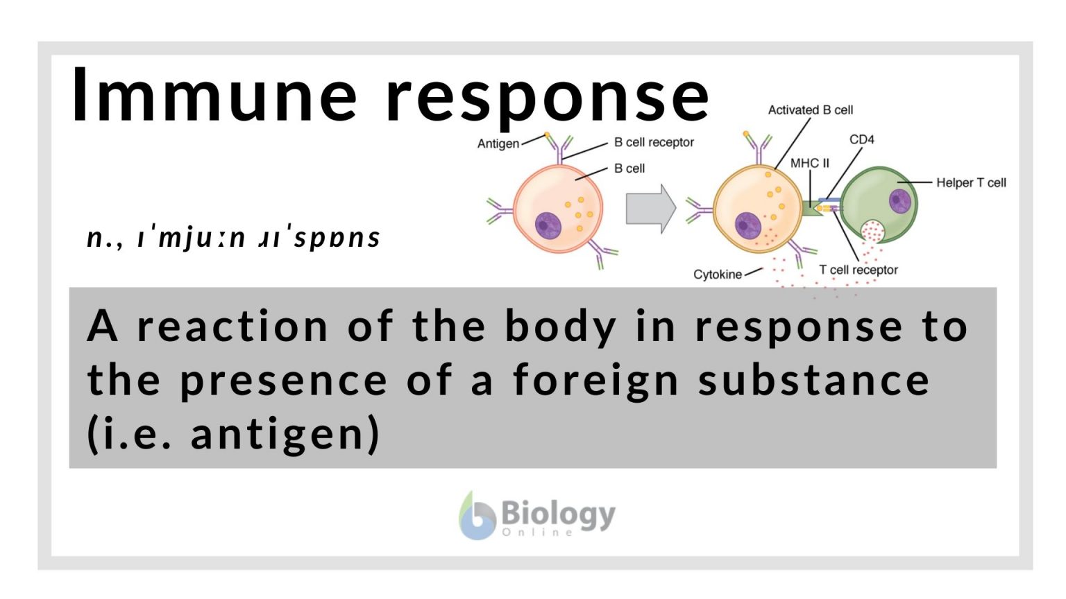 Immune response Definition and Examples - Biology Online Dictionary