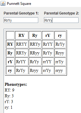 Trihybrid Punnett Square