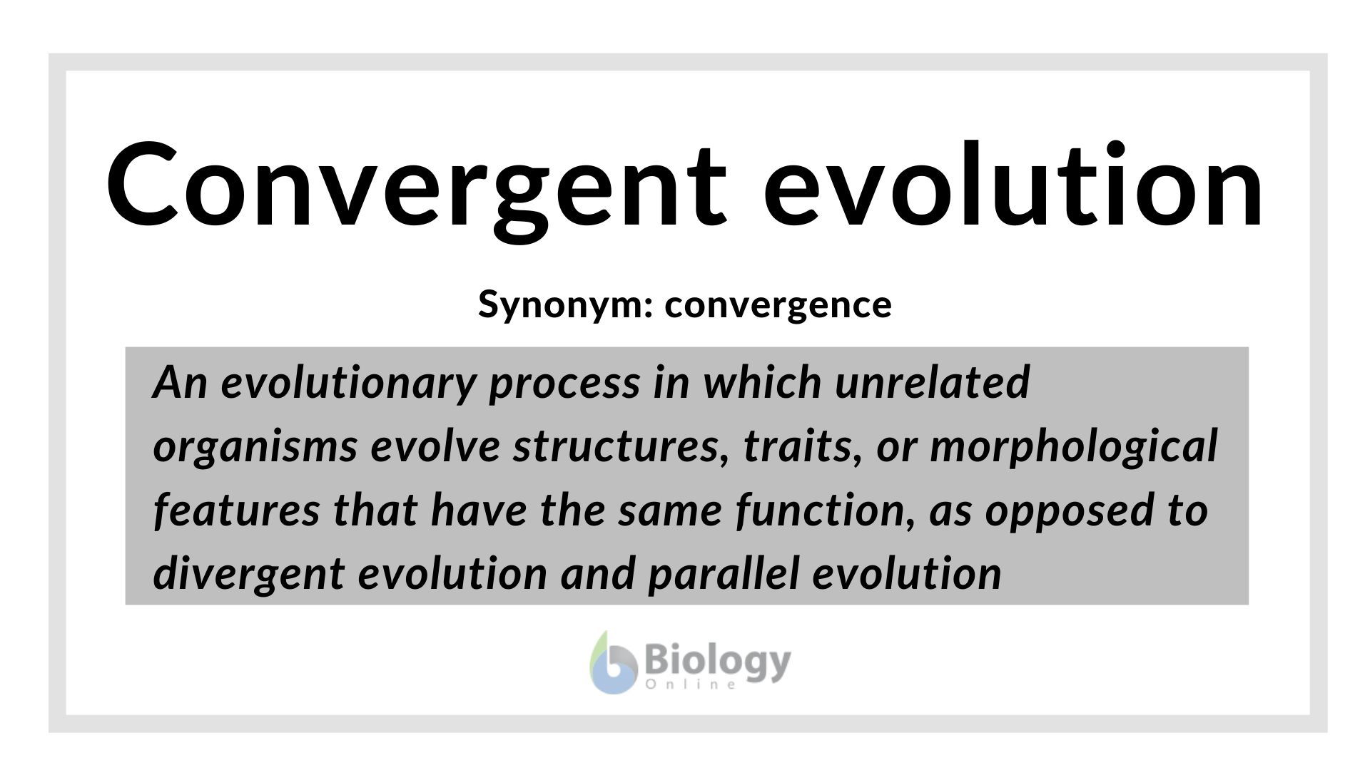 Convergent evolution Definition and Examples - Biology Online Dictionary
