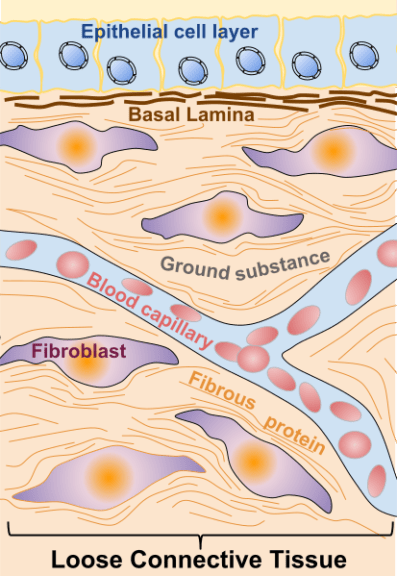 Substance - Definition and Examples - Biology Online Dictionary