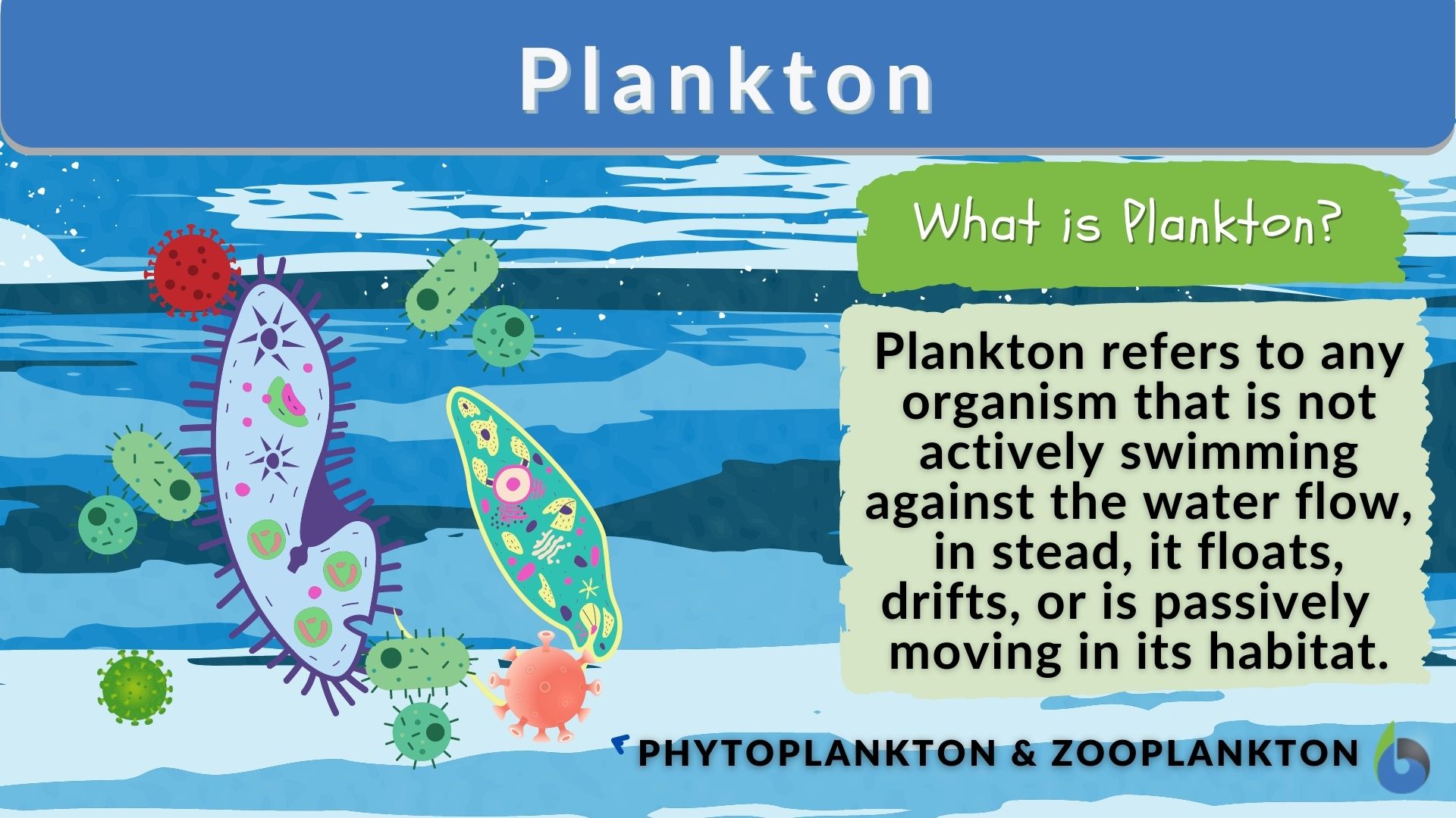 Plankton - Definition and Examples - Biology Online Dictionary