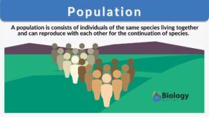 Population Definition and Examples - Biology Online Dictionary