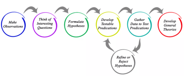 Process Definition and Examples - Biology Online Dictionary