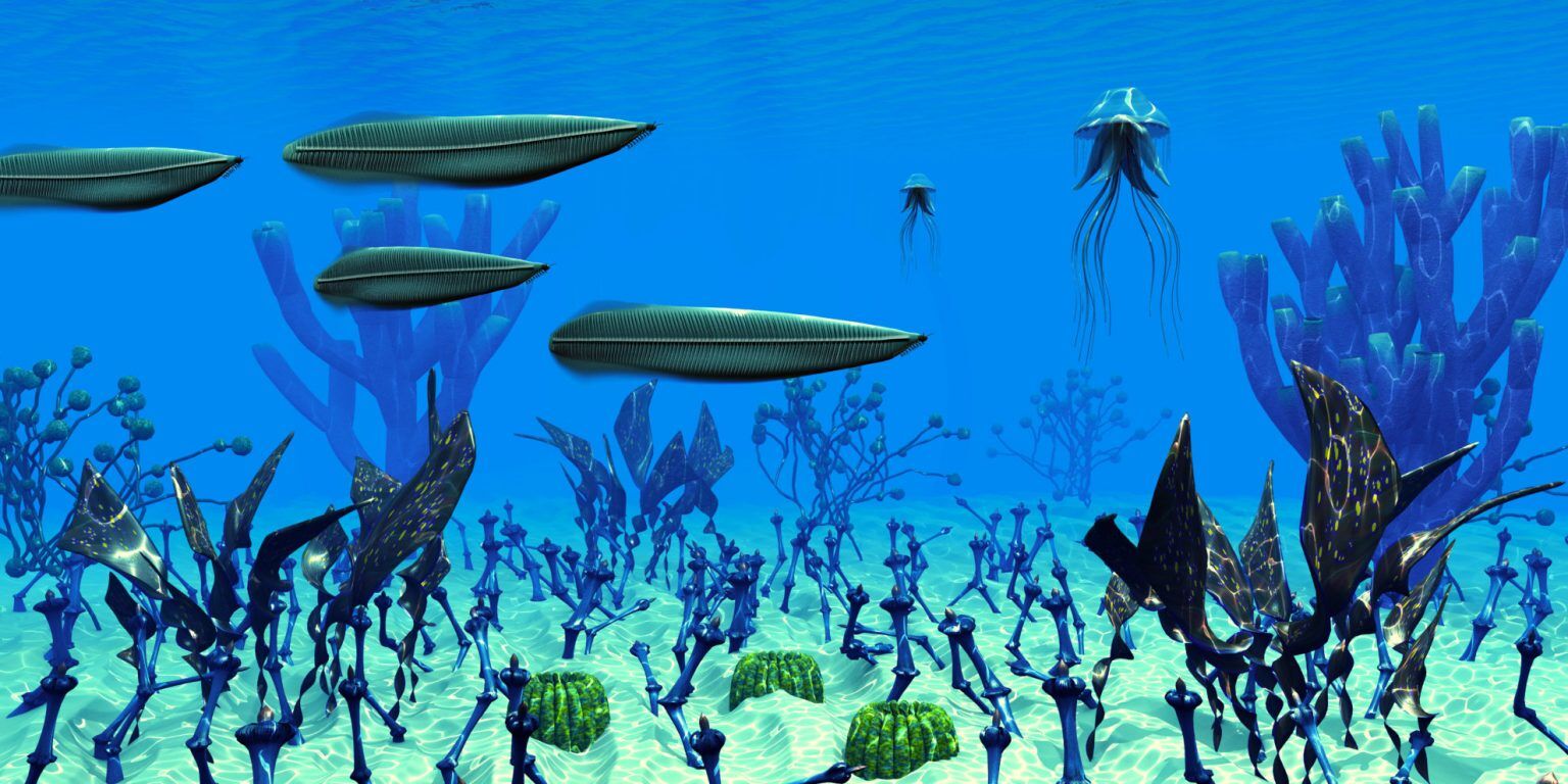 The Origins of Life - Biology Online Tutorial
