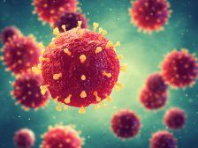 Biological Definition and Examples - Biology Online Dictionary