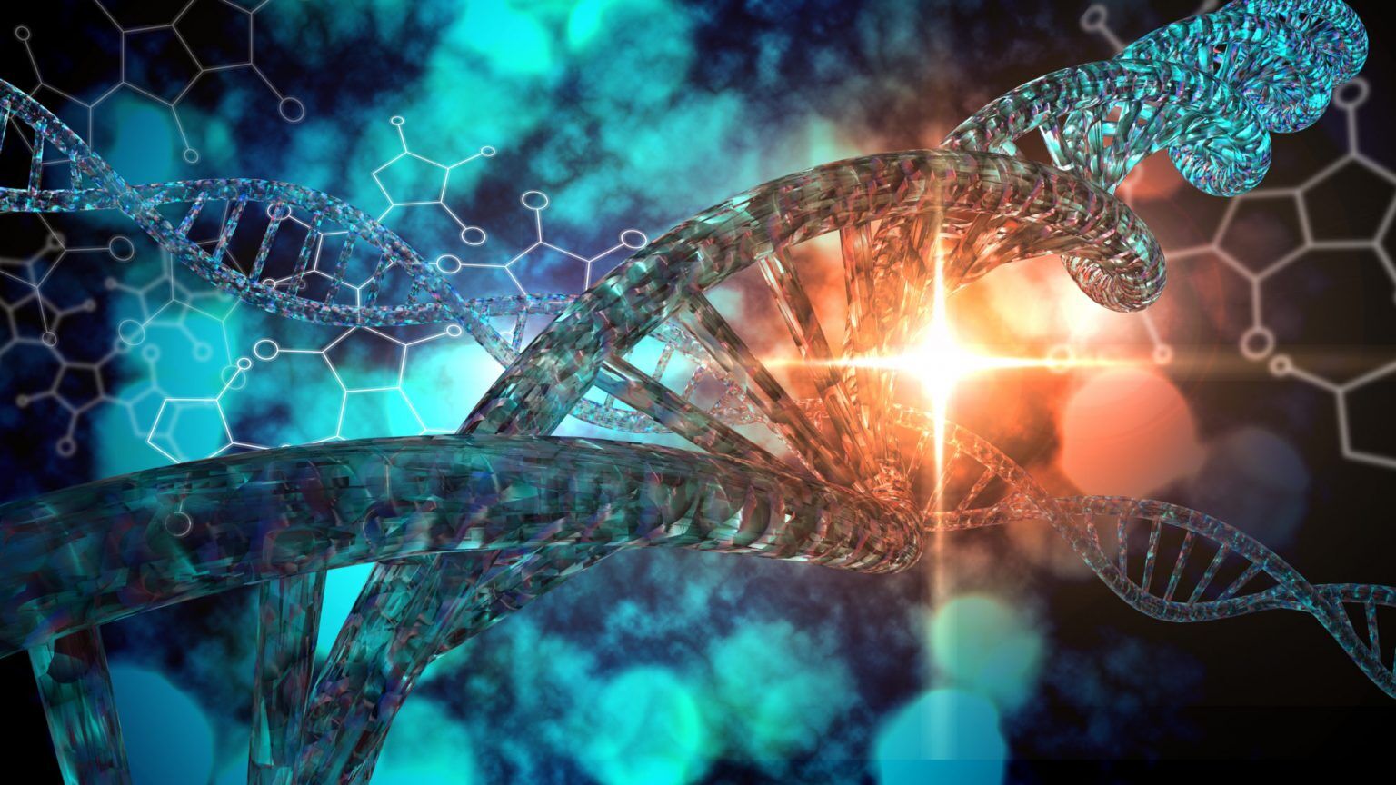 The Origins of Life - Biology Online Tutorial
