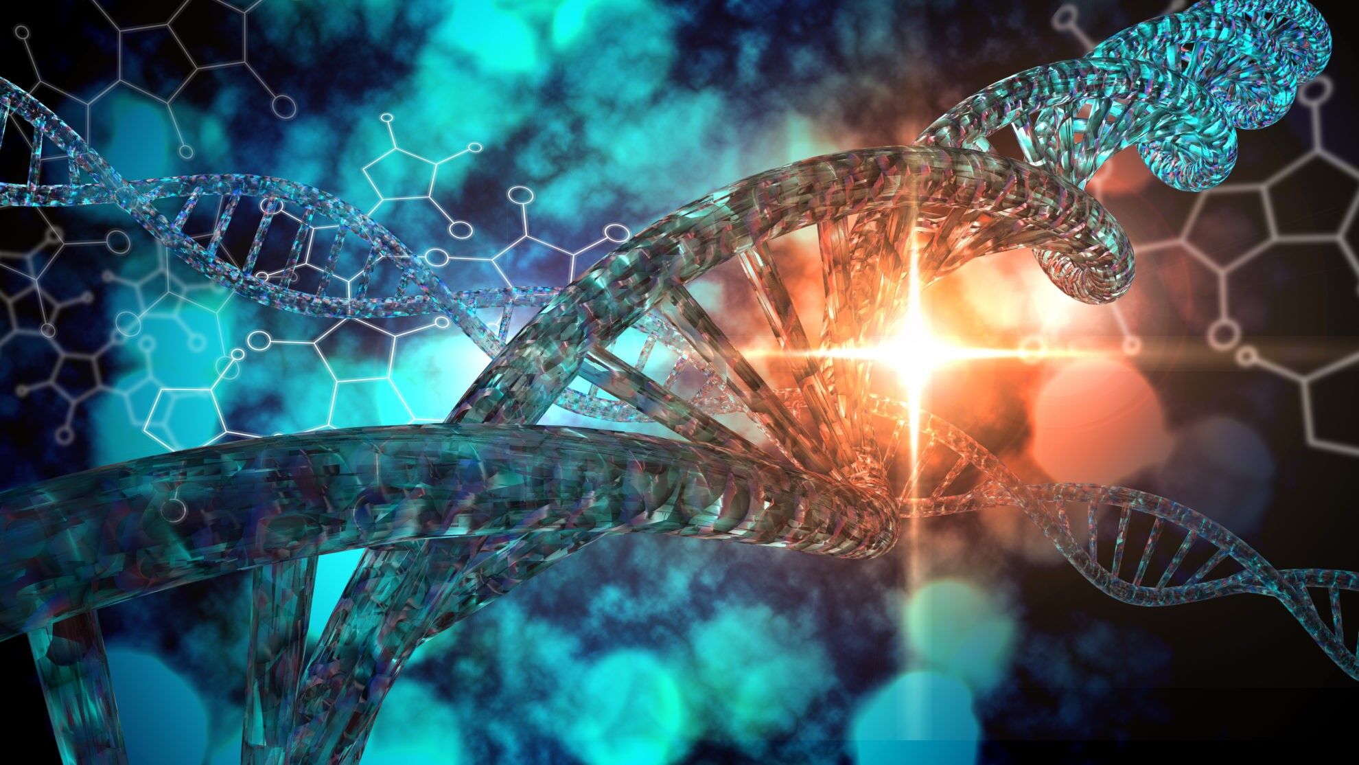 The Origins of Life - Biology Online Tutorial