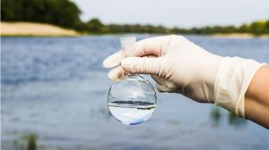 Freshwater Definition and Examples - Biology Online Dictionary