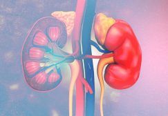 Urea Definition and Examples - Biology Online Dictionary