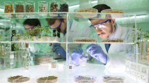 Biological system - Definition and Examples - Biology Online Dictionary