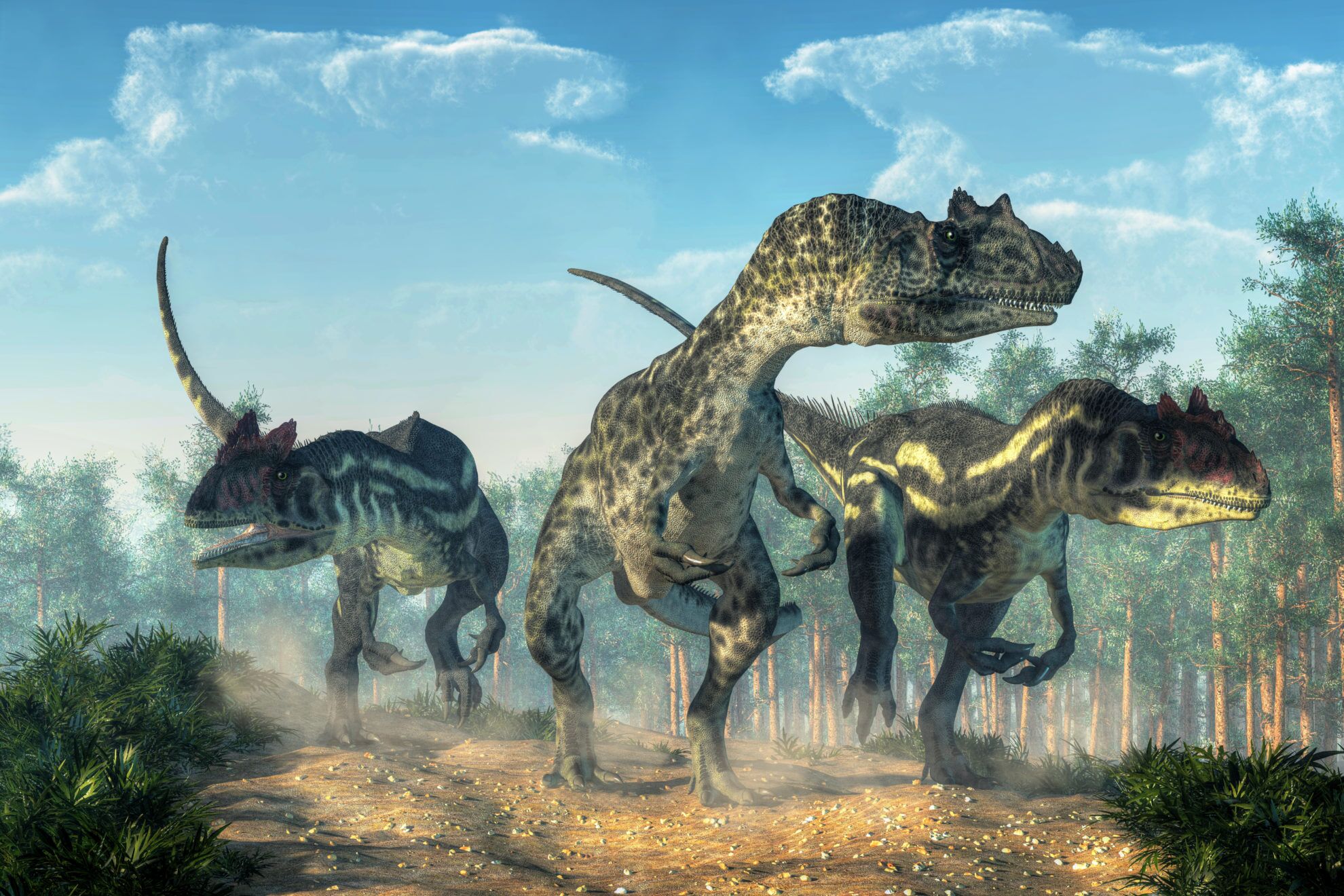 The Origins of Life - Biology Online Tutorial