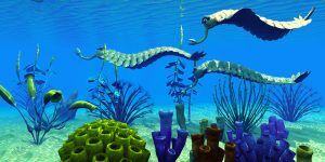 Cellular Definition and Examples - Biology Online Dictionary