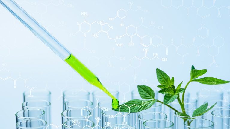 Additive effect Definition and Examples - Biology Online Dictionary