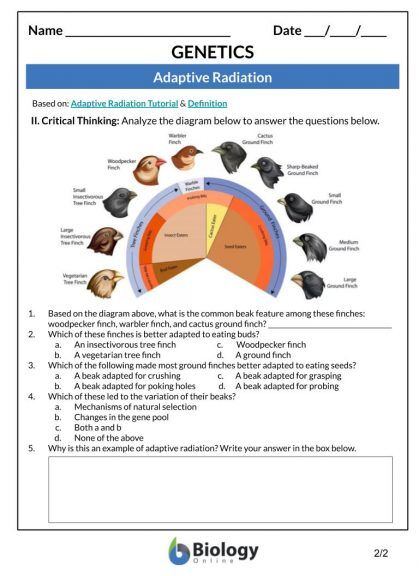 Adaptive Radiation - Biology Online Tutorial