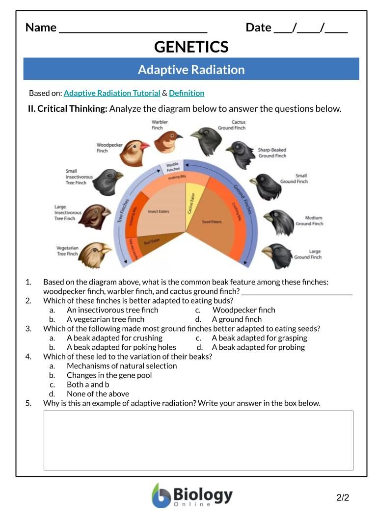 Adaptive Radiation - Biology Online Tutorial