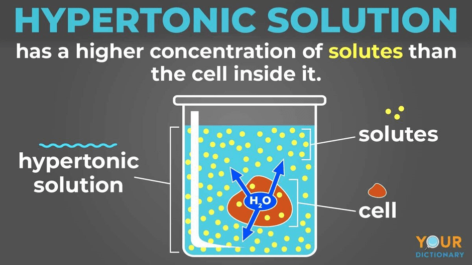 Hypertonic Solution