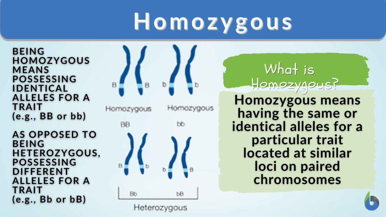 Homozygous - Definition and Examples - Biology Online Dictionary